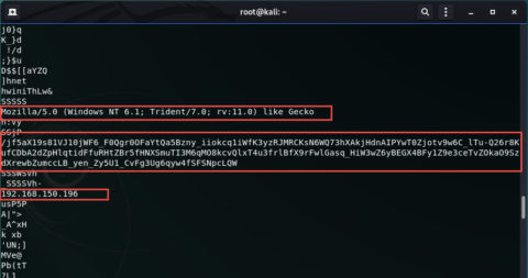 Meterpreter reverse_http how does it communicate ? between device and the MSF (part 1) | Franky ...